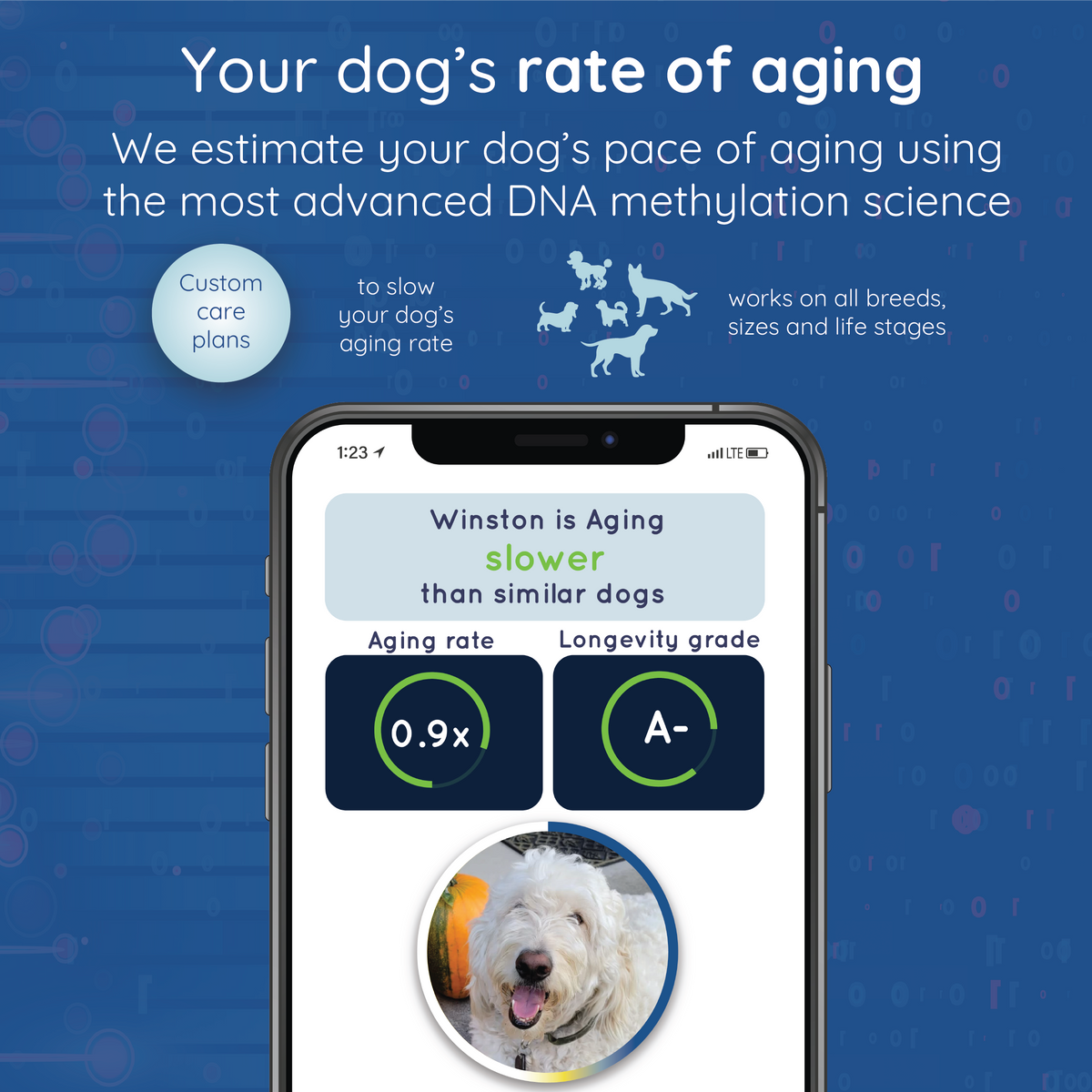 WoofSpan - DNA Longevity Test – Woofgenix